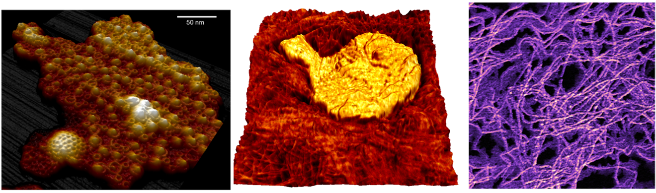 原子力显微镜 Bruker Multimode 8-清华摩擦学国家重点实验室